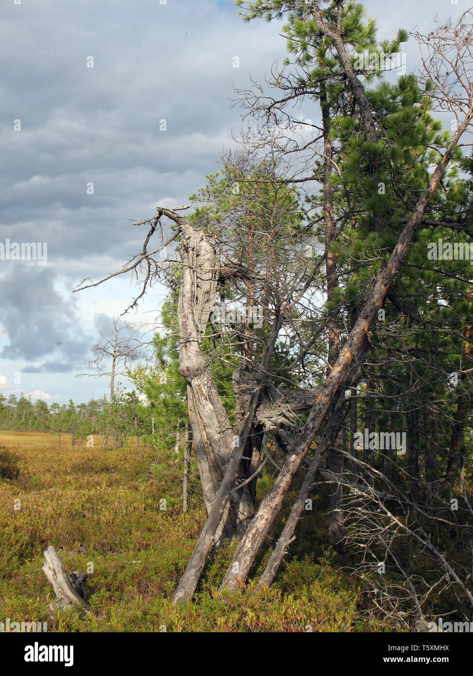 Breackage hi-res stock photography and images - Alamy