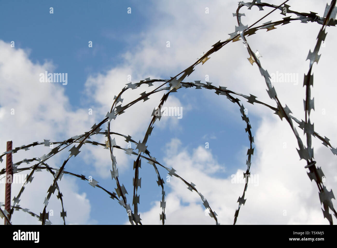 Lost freedom behind barbed wire Stock Photo - Alamy