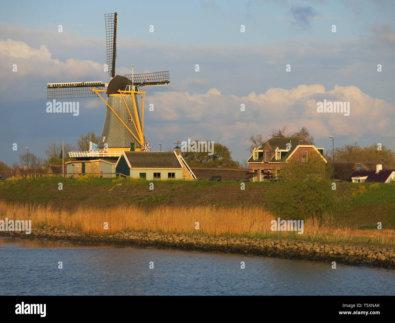 A typical Dutch scene in the early evening light, when there's a glow ...