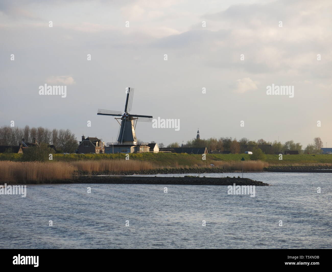 Characteristic feature hi-res stock photography and images - Alamy