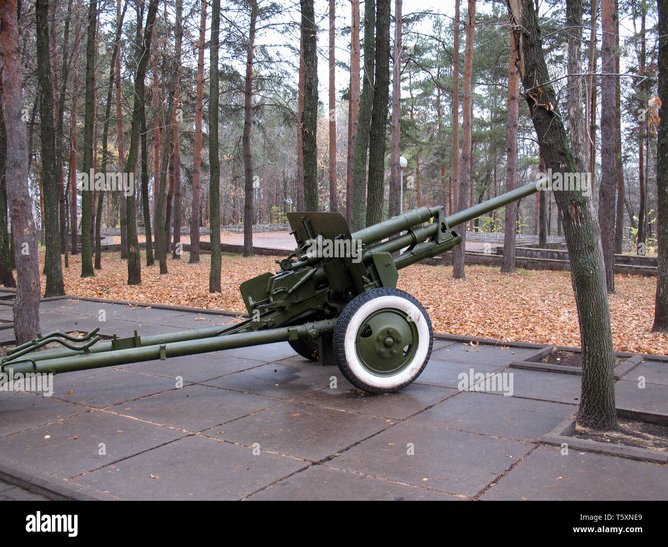 Forest defense hi-res stock photography and images - Alamy