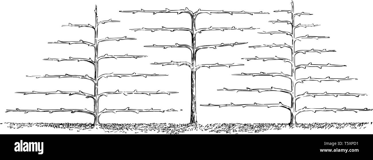 Training branches Stock Vector Images - Alamy