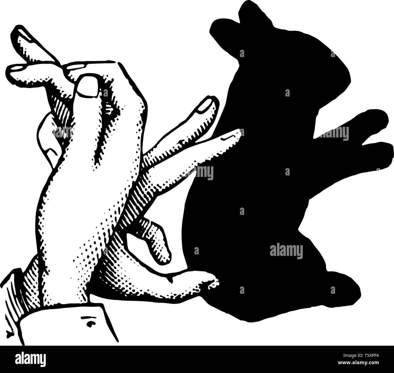 This picture represents are Hand to shadow of Rabbit vintage line ...