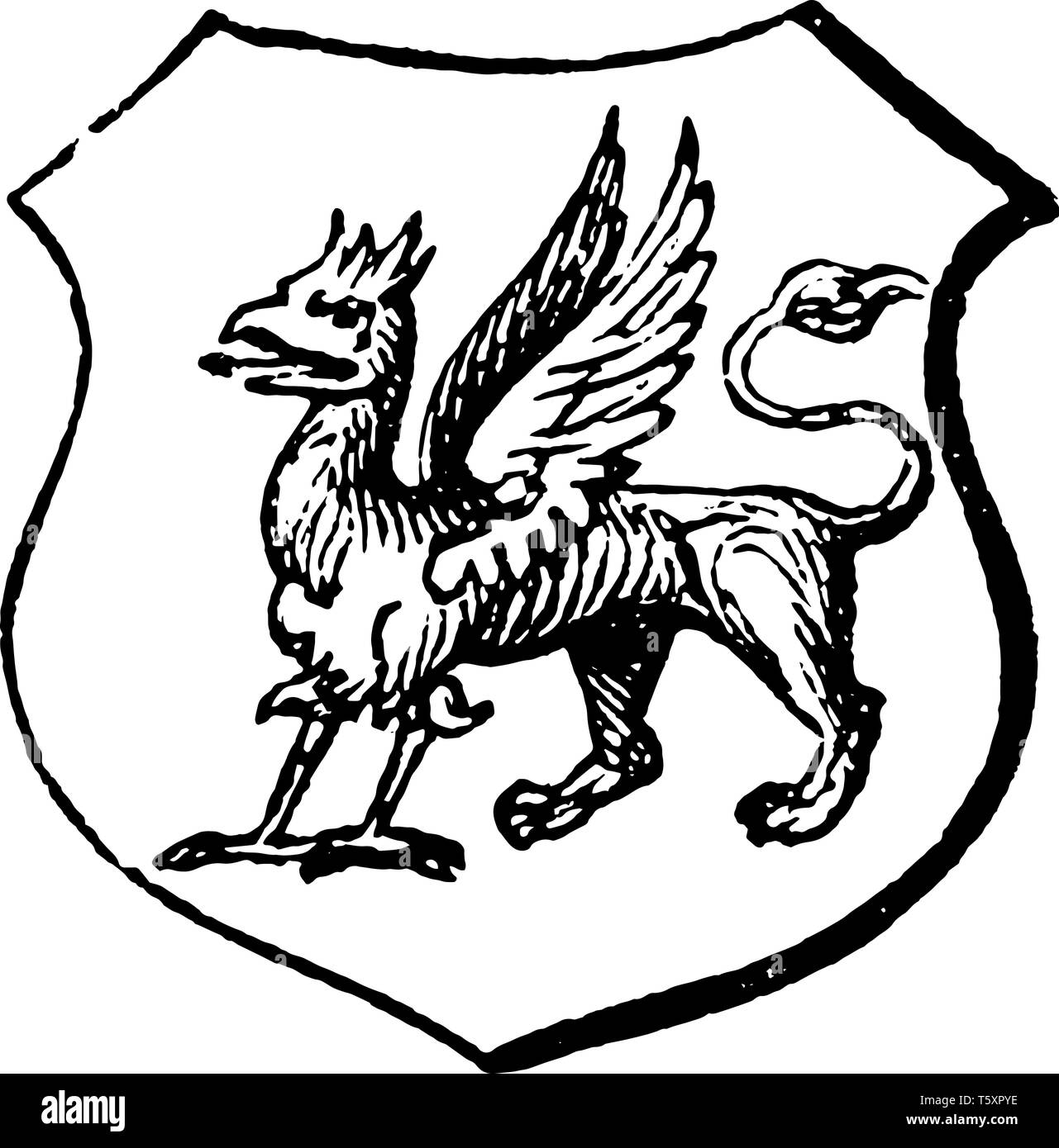 Griffin have A chimerical animal, vintage line drawing or engraving ...