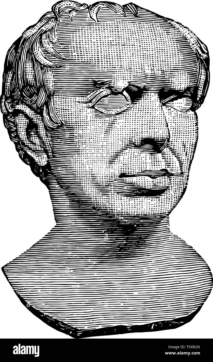 Bust of Marius, was a Roman general, politician elected consul ...