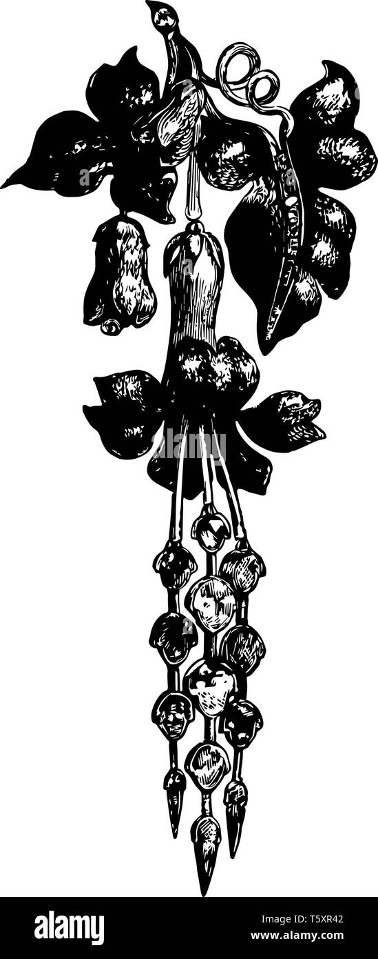 Brooch is designed to be attached to garments, vintage line drawing or ...