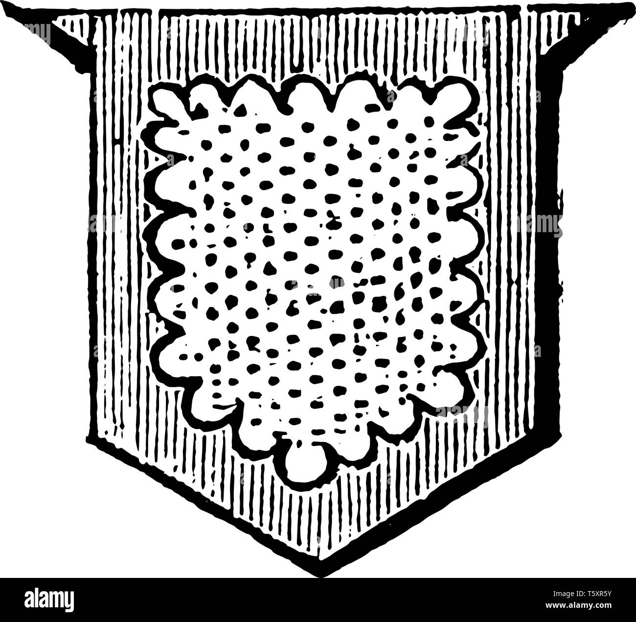 Shield Showing Difference is a bordure engrailed, vintage line drawing ...
