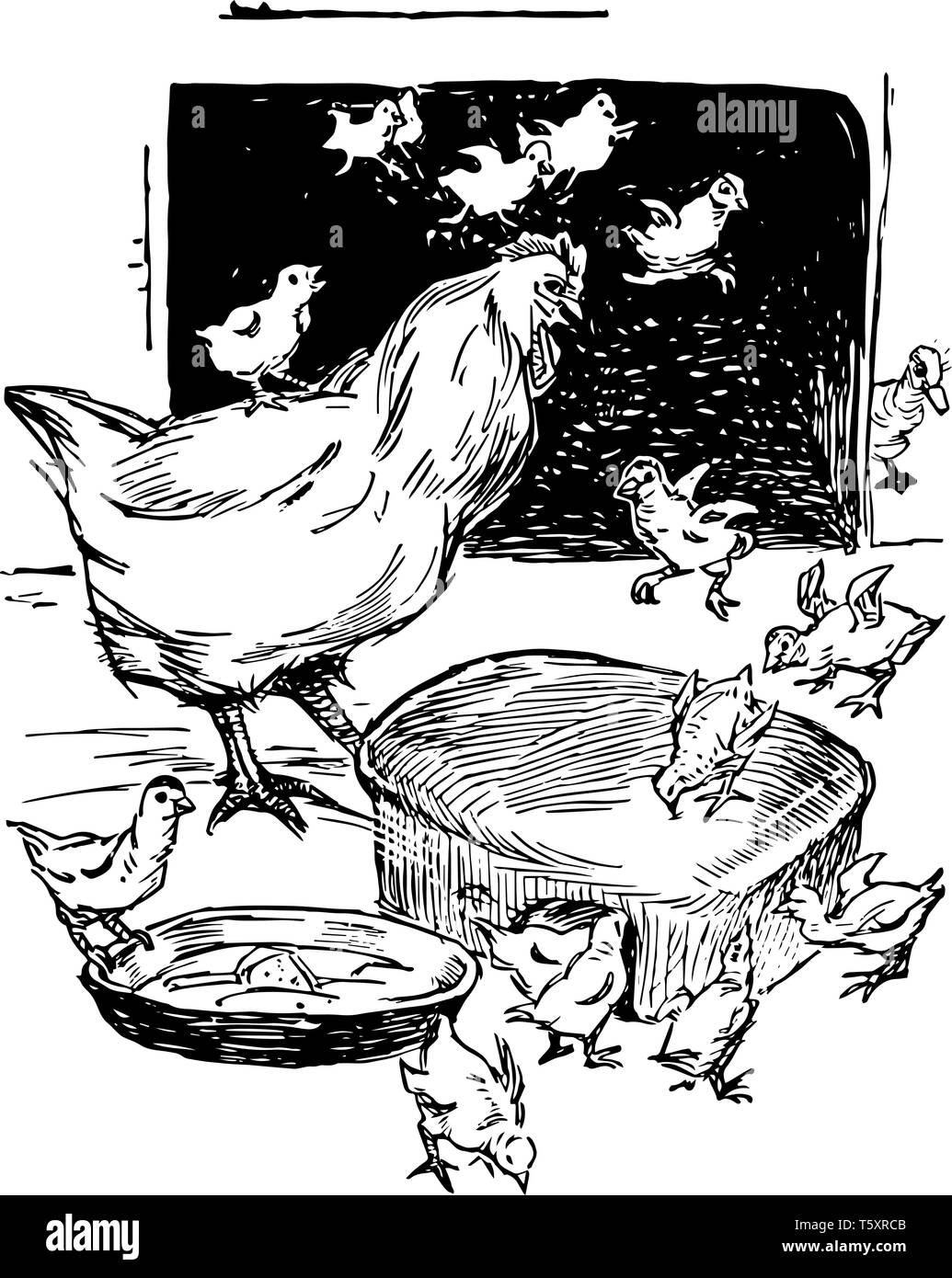 Mother Hen & Baby Chicks eating grain out of a bowl, vintage line ...