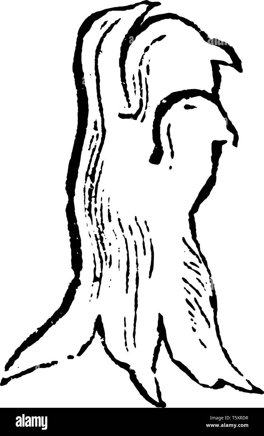 Den Black And White Clipart