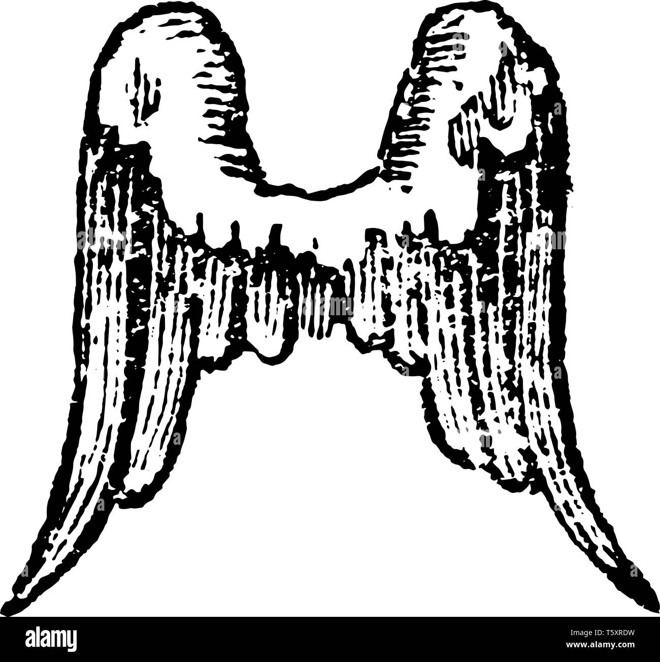 Inverted wings Stock Vector Images - Alamy