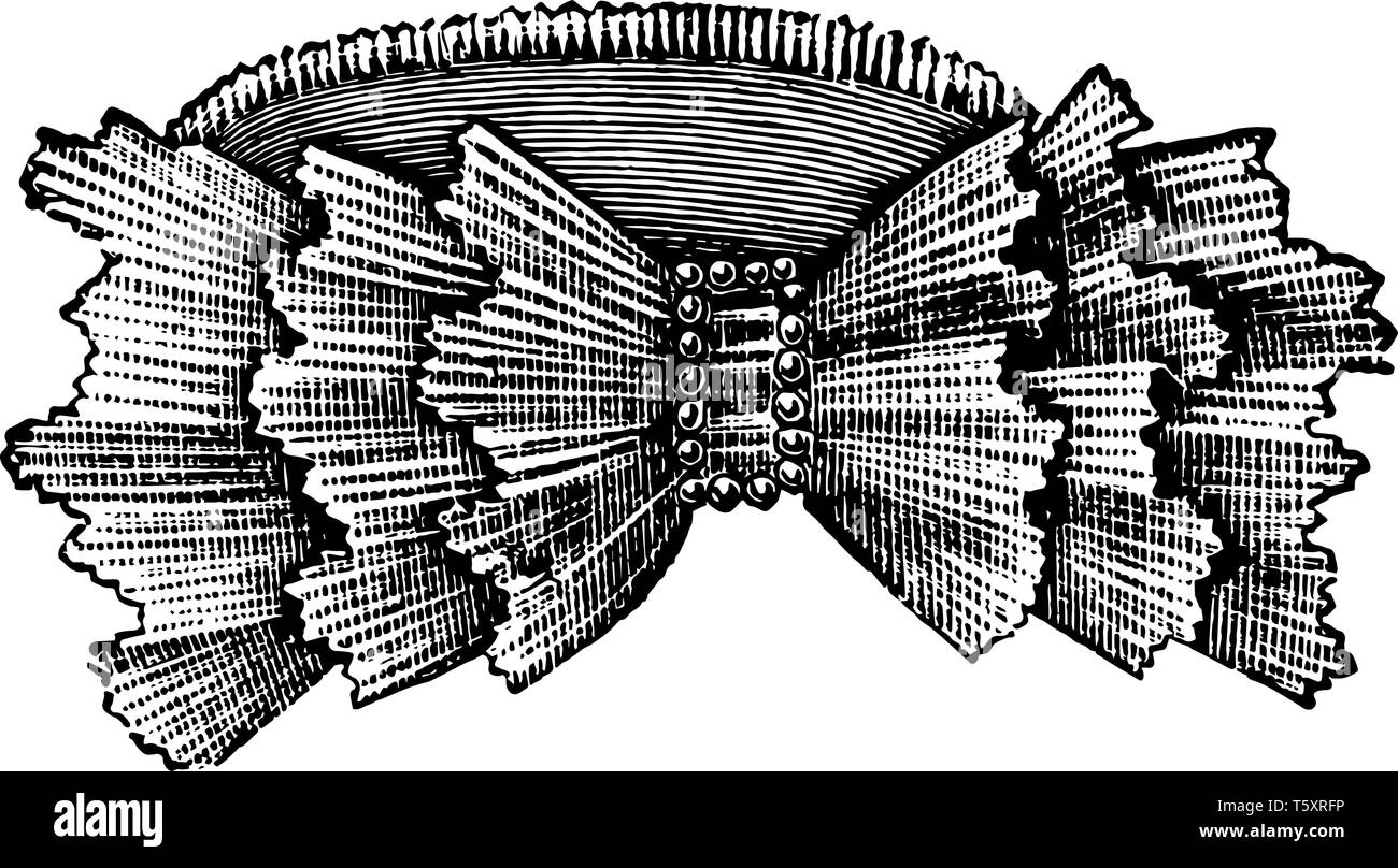 Neckband is designed in a ribbon shape, vintage line drawing or ...