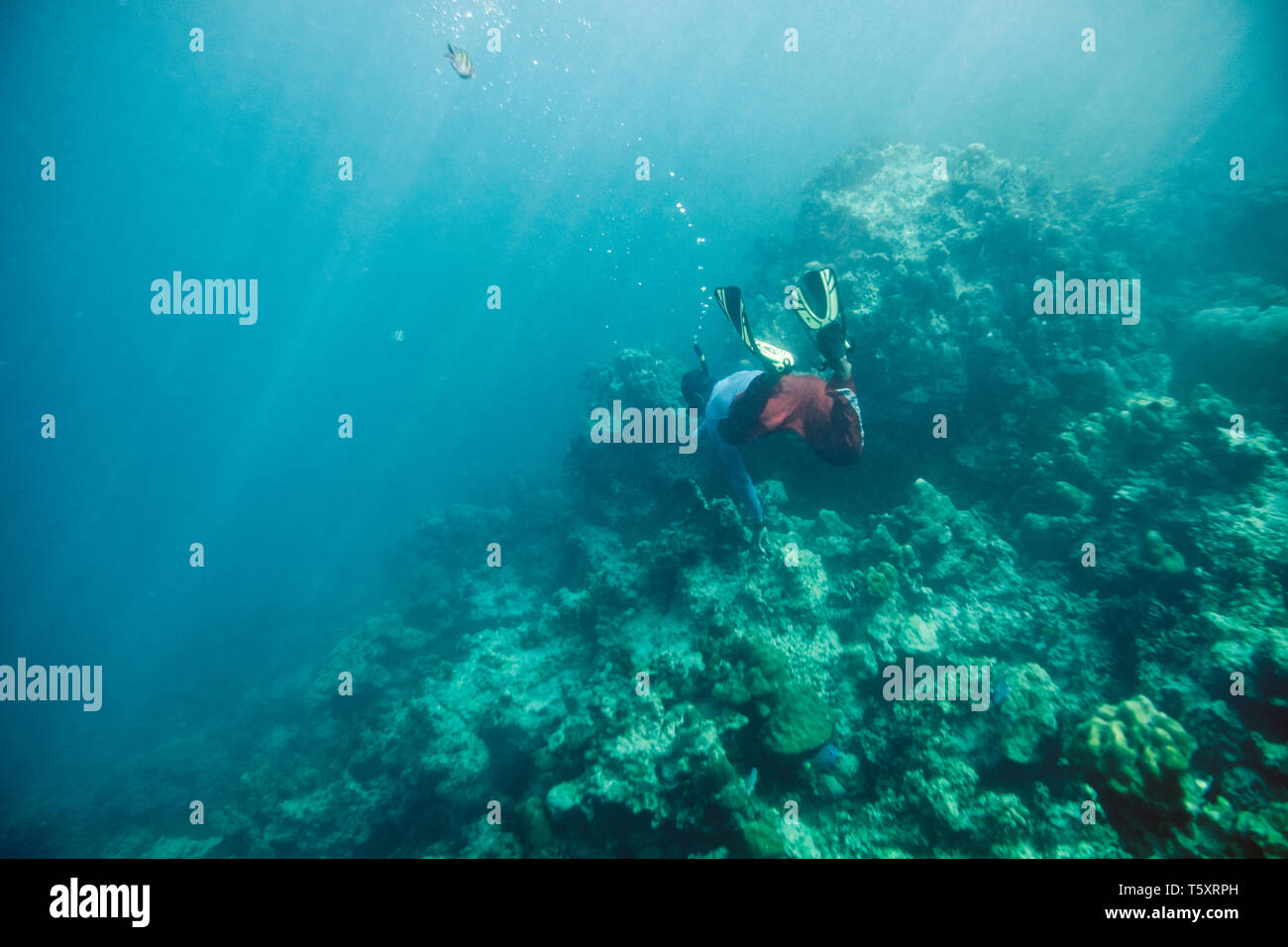 Snorkeling in the emerald water hi-res stock photography and images - Alamy