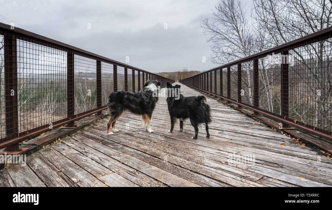 Trellis bridge hi-res stock photography and images - Alamy