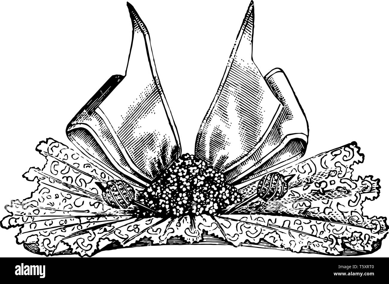 Rooshed Stock Vector Images - Alamy