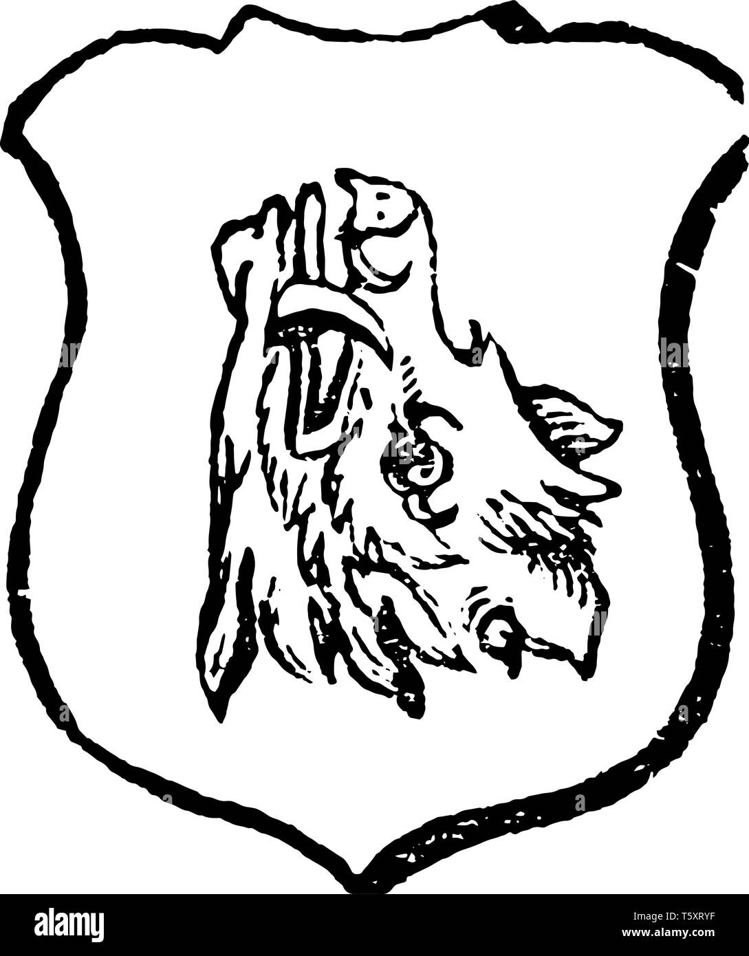 Boar's Head Erect is said of any animal or parts of animals, vintage ...