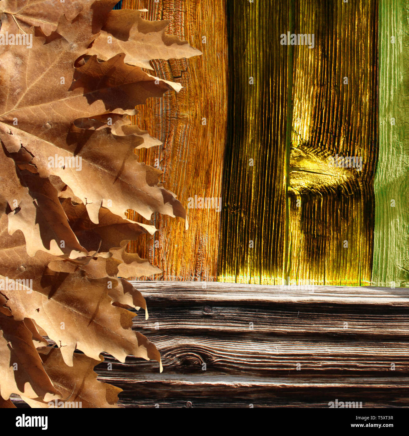 Wood Door- Yellow Leaf Stock Photo - Alamy