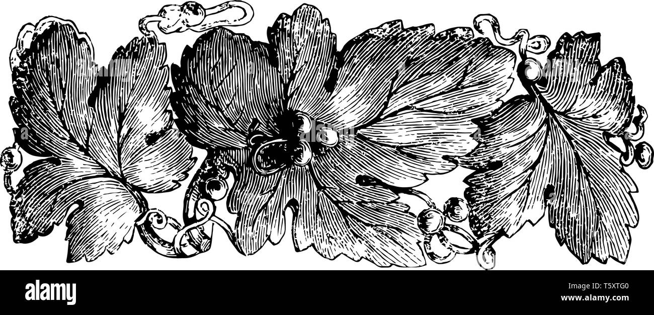 Brooch is attached or pinned to a garment, vintage line drawing or ...