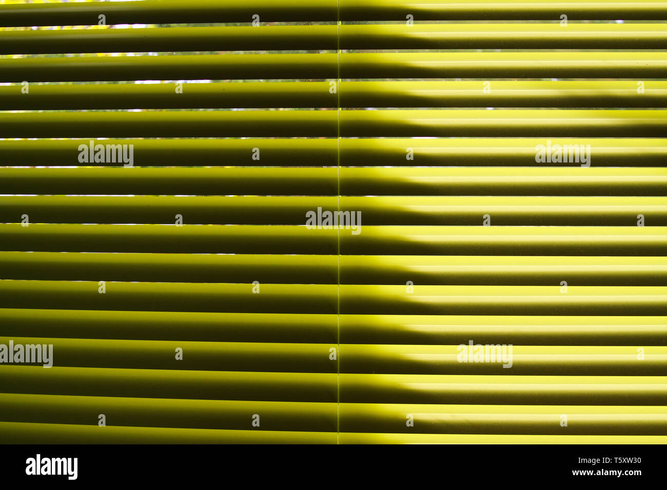 Lamellas hi-res stock photography and images - Alamy