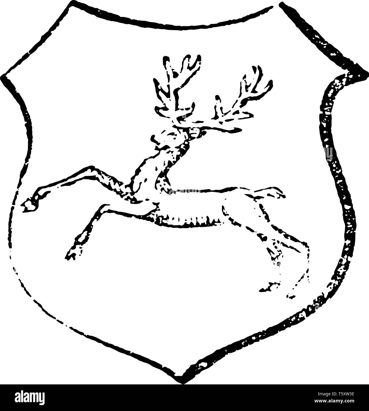 Stag line drawing Black and White Stock Photos & Images - Alamy