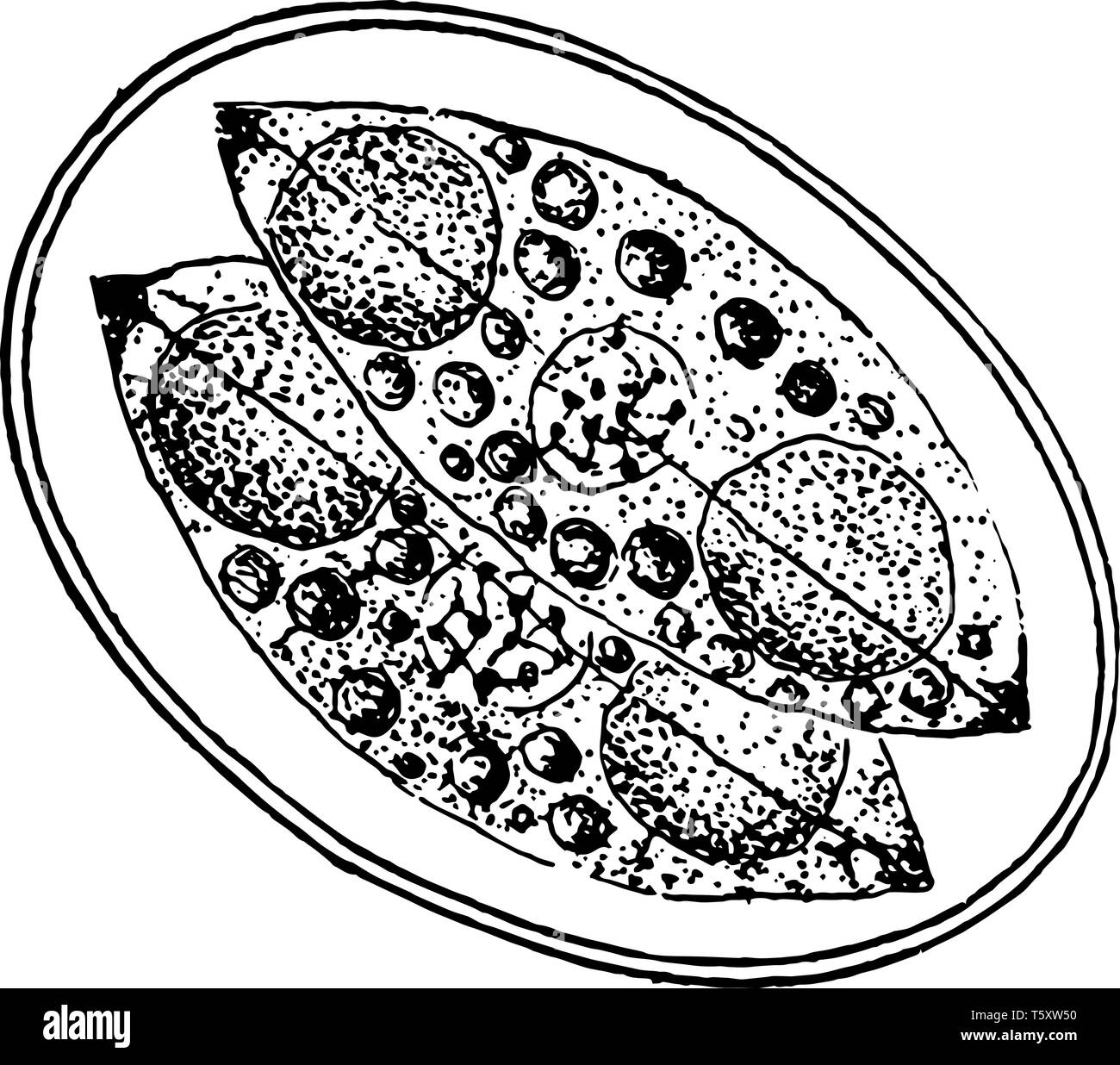 Cyclospora Intestine