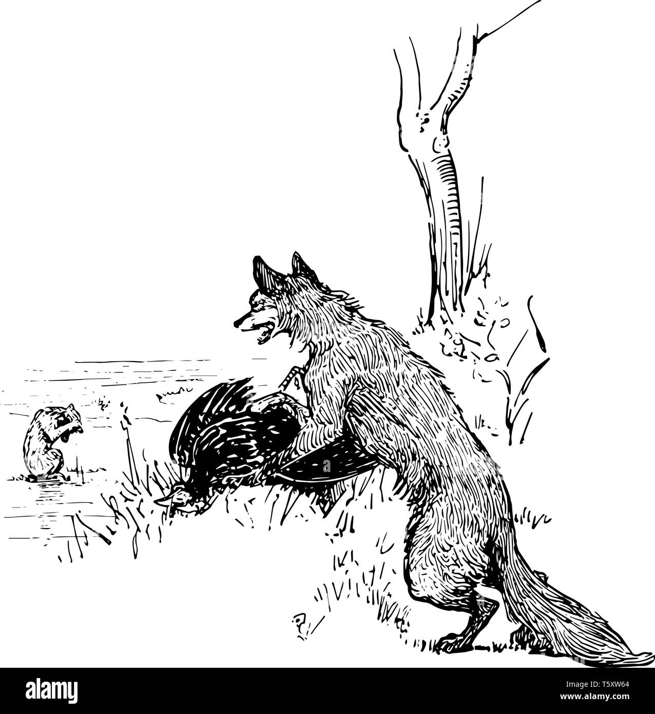 On rock in water Stock Vector Images - Alamy