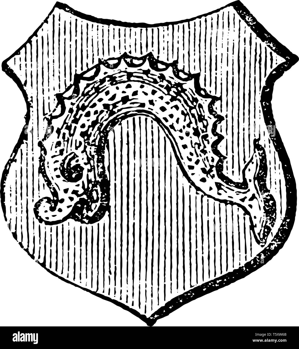 Dolphin Embowed is a dolphin naiant embowed, vintage line drawing or ...