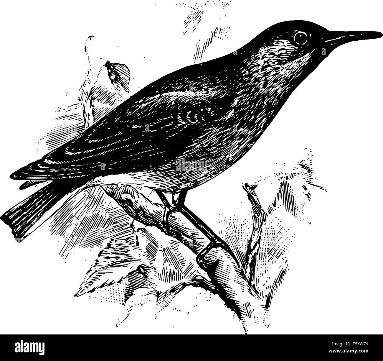 Miner and his family Stock Vector Images - Alamy