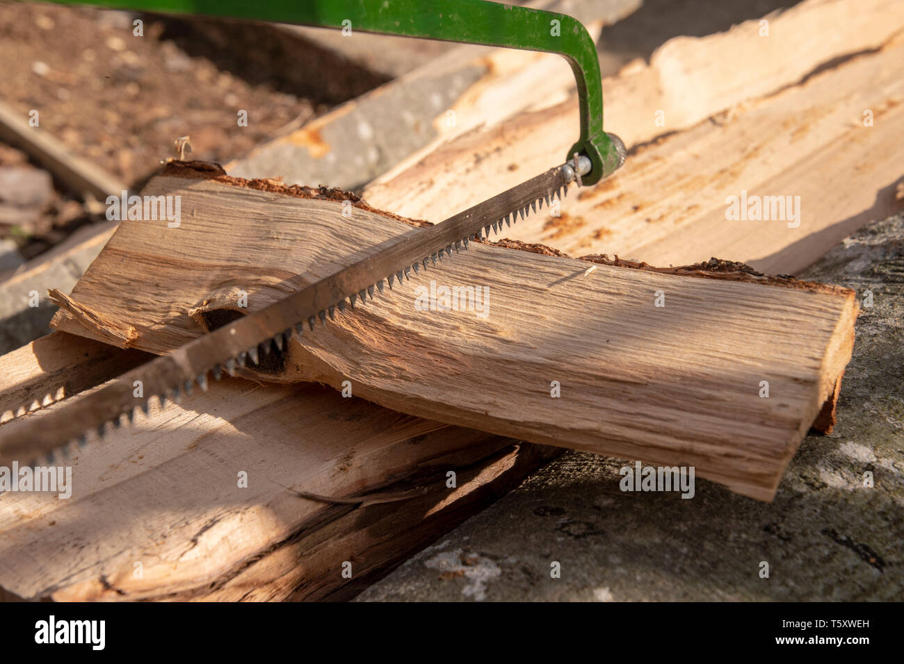 Coarse teeth hi-res stock photography and images - Alamy