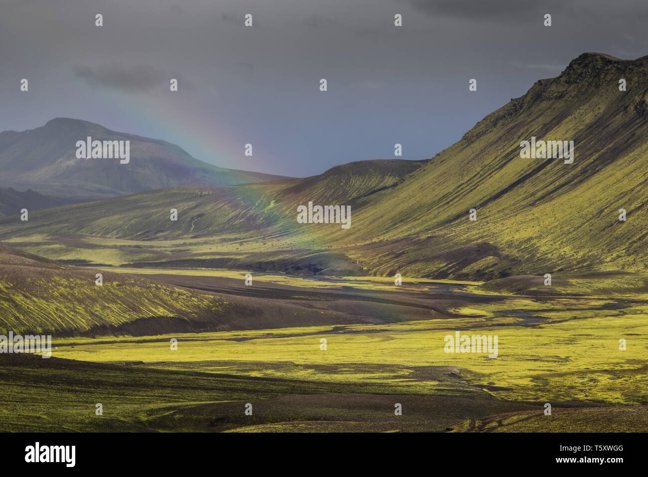 Dramatic iceland landscape with a green hill and black lava looks like ...