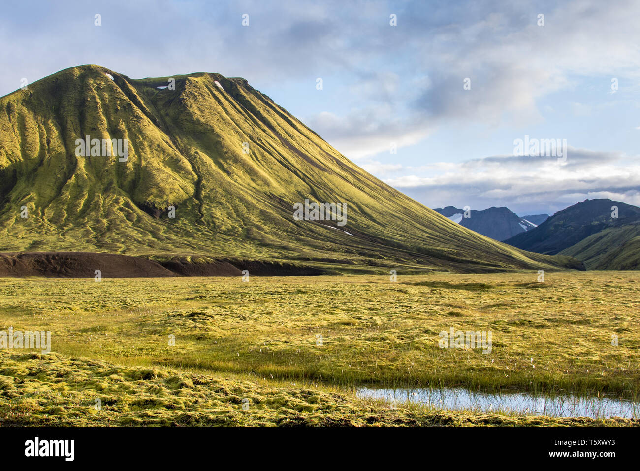 Dramatic iceland landscape with a green hill and black lava looks like ...
