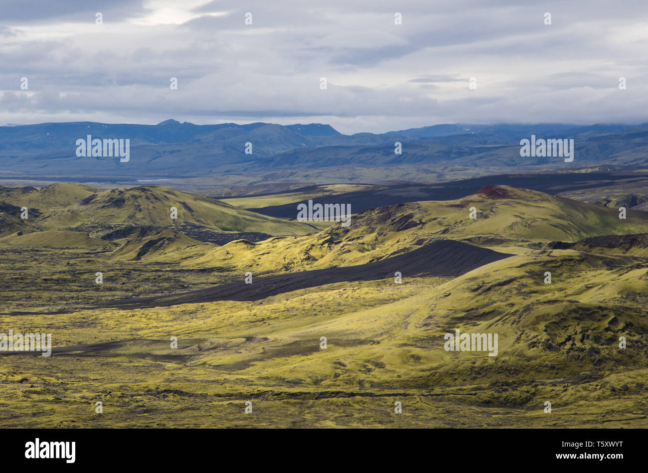 Dramatic iceland landscape with a green hill and black lava looks like ...
