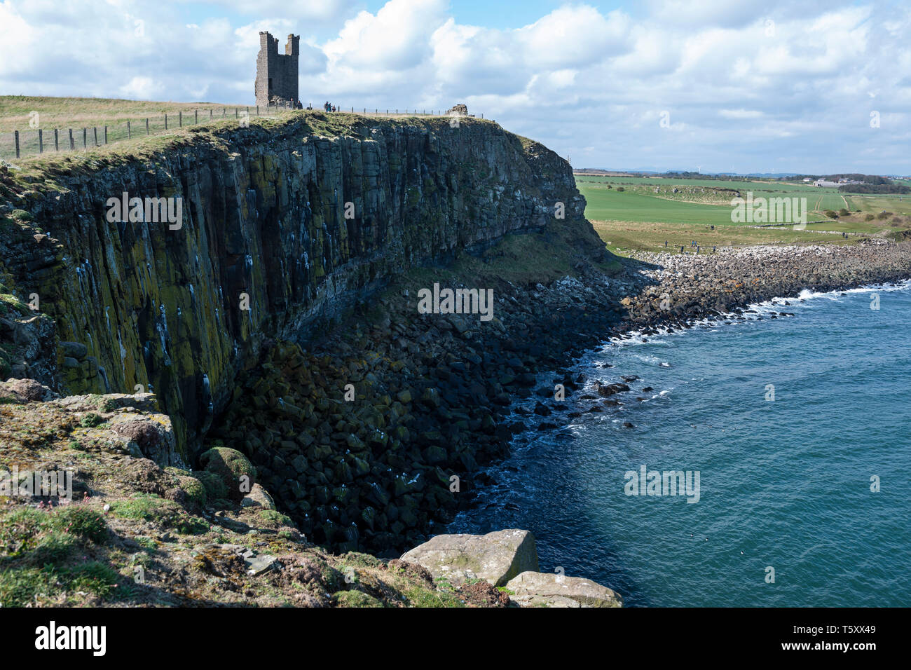 30m high sea cliffs of Gull Crag mark the northern boundary of ...