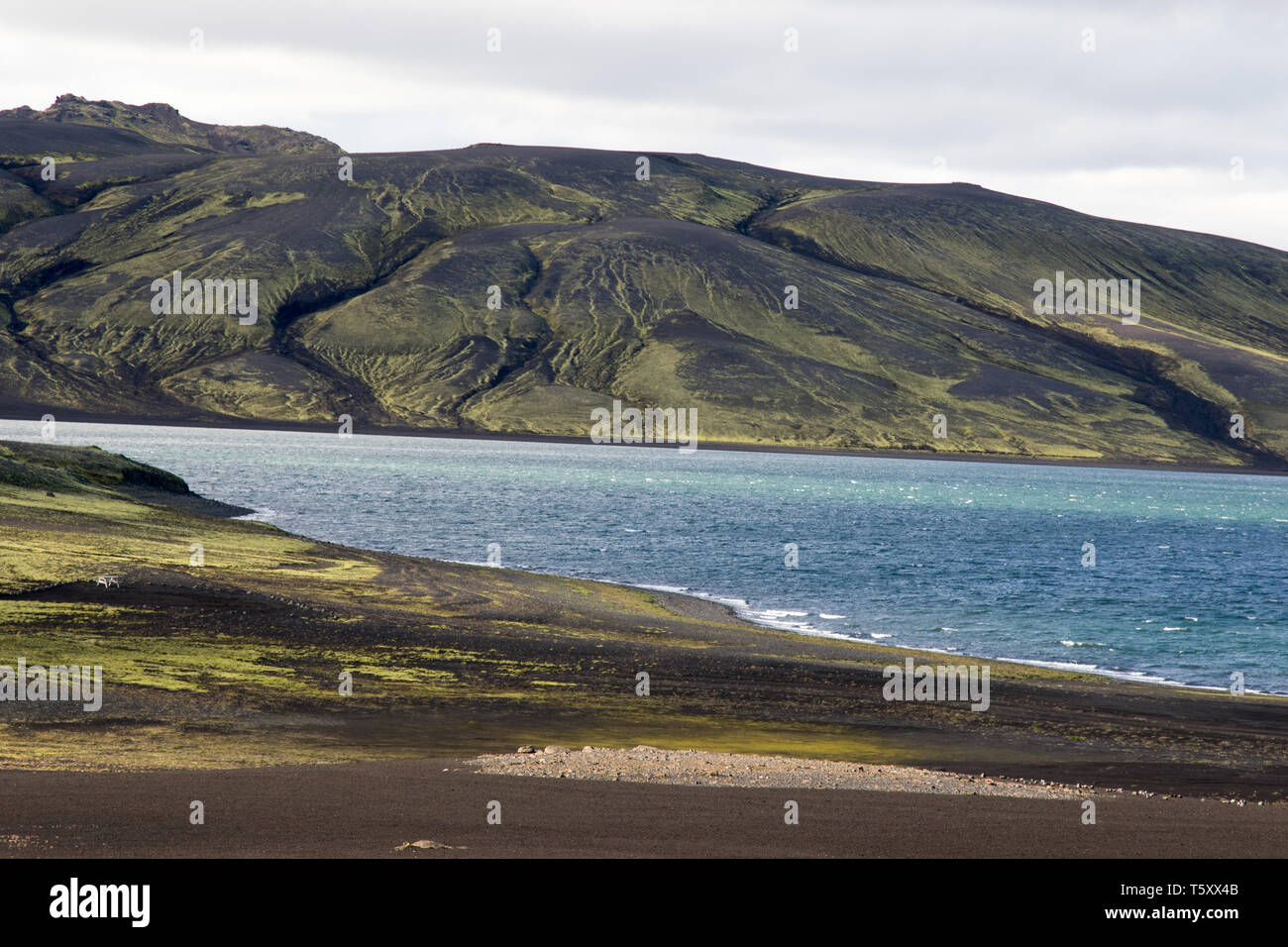Dramatic iceland landscape with a green hill and black lava looks like ...