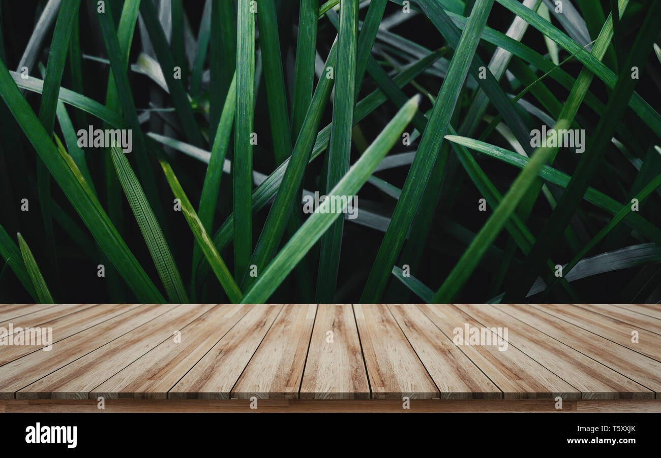 Review layout hi-res stock photography and images - Alamy