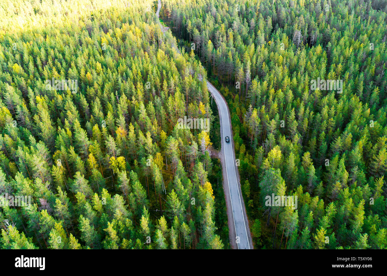 Aerial view of a country road in the forest with moving cars. Beautiful ...
