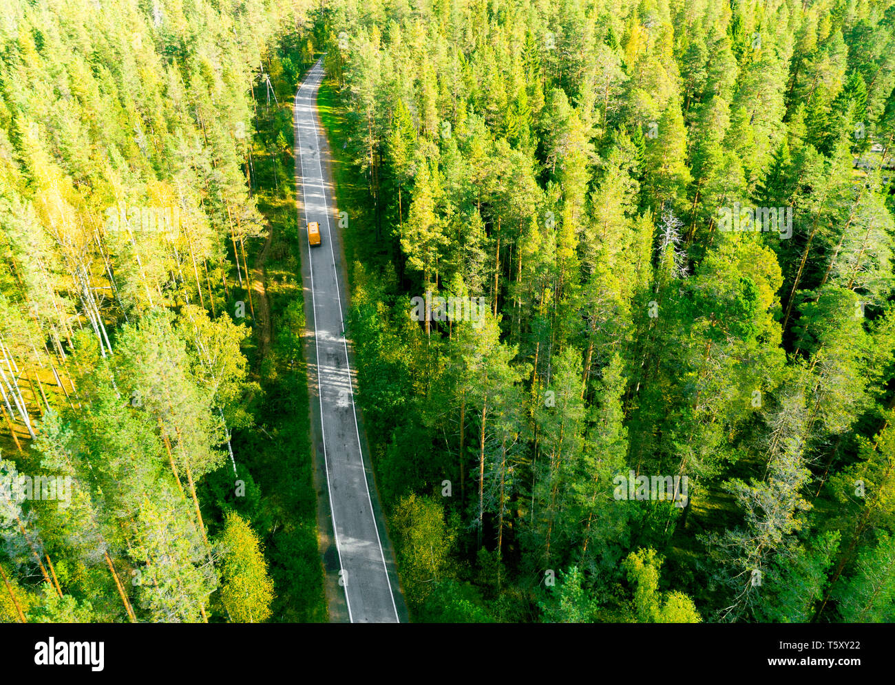 Aerial view of a country road in the forest with moving cars. Beautiful ...