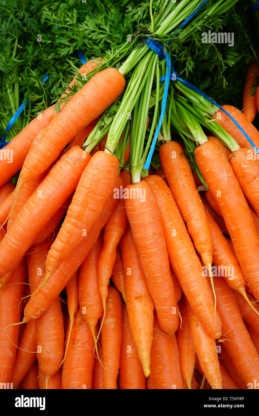 Fresh carrots for sale at a farmers market Stock Photo - Alamy
