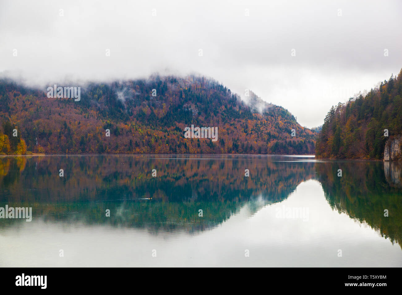 Beuatiful lake Alpsee in autumn colors near famous bavarian castles ...