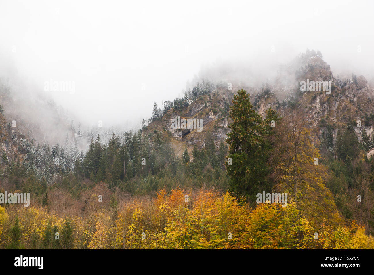 Season transition hi-res stock photography and images - Alamy