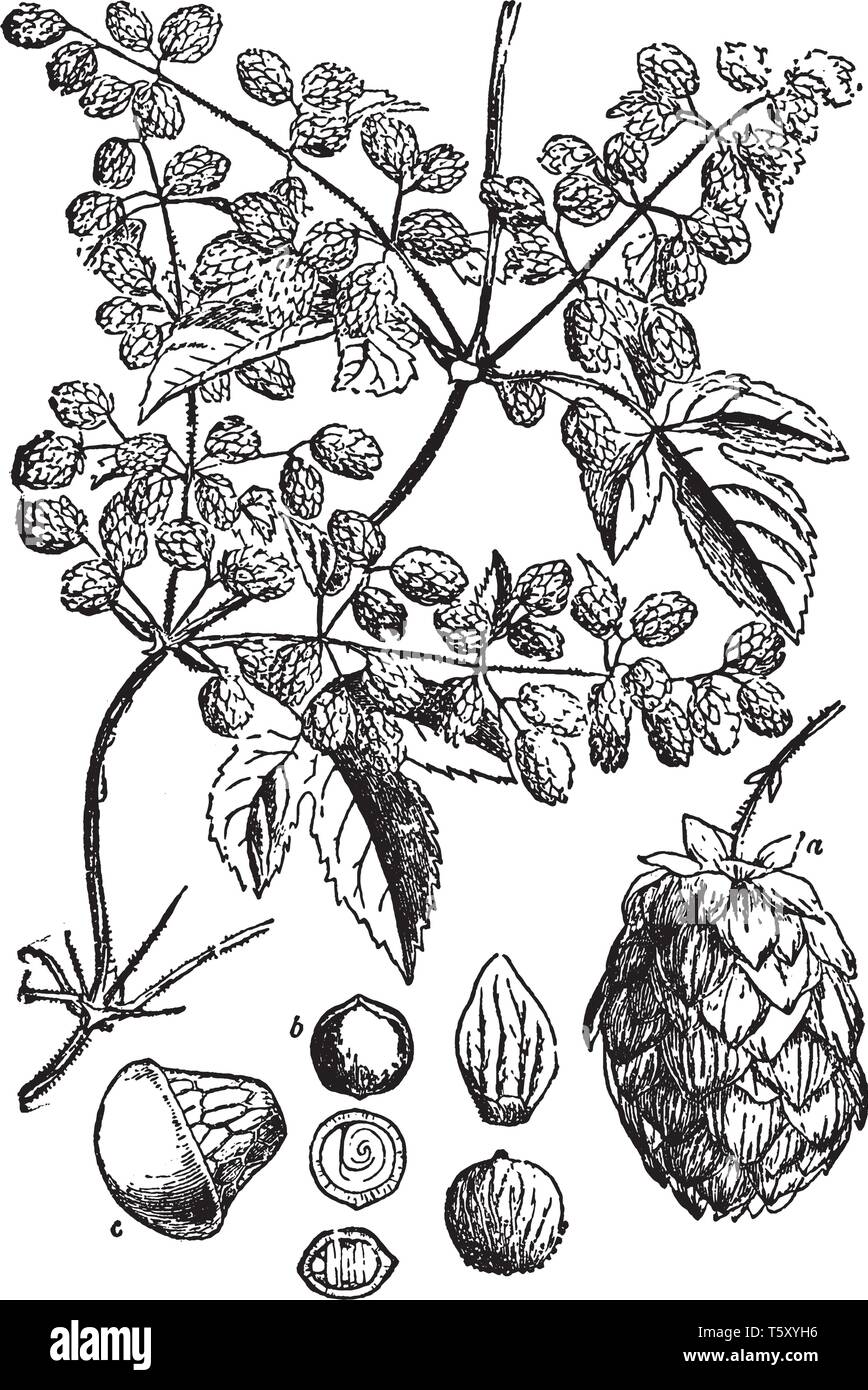 Impart vector vectors hi-res stock photography and images - Alamy