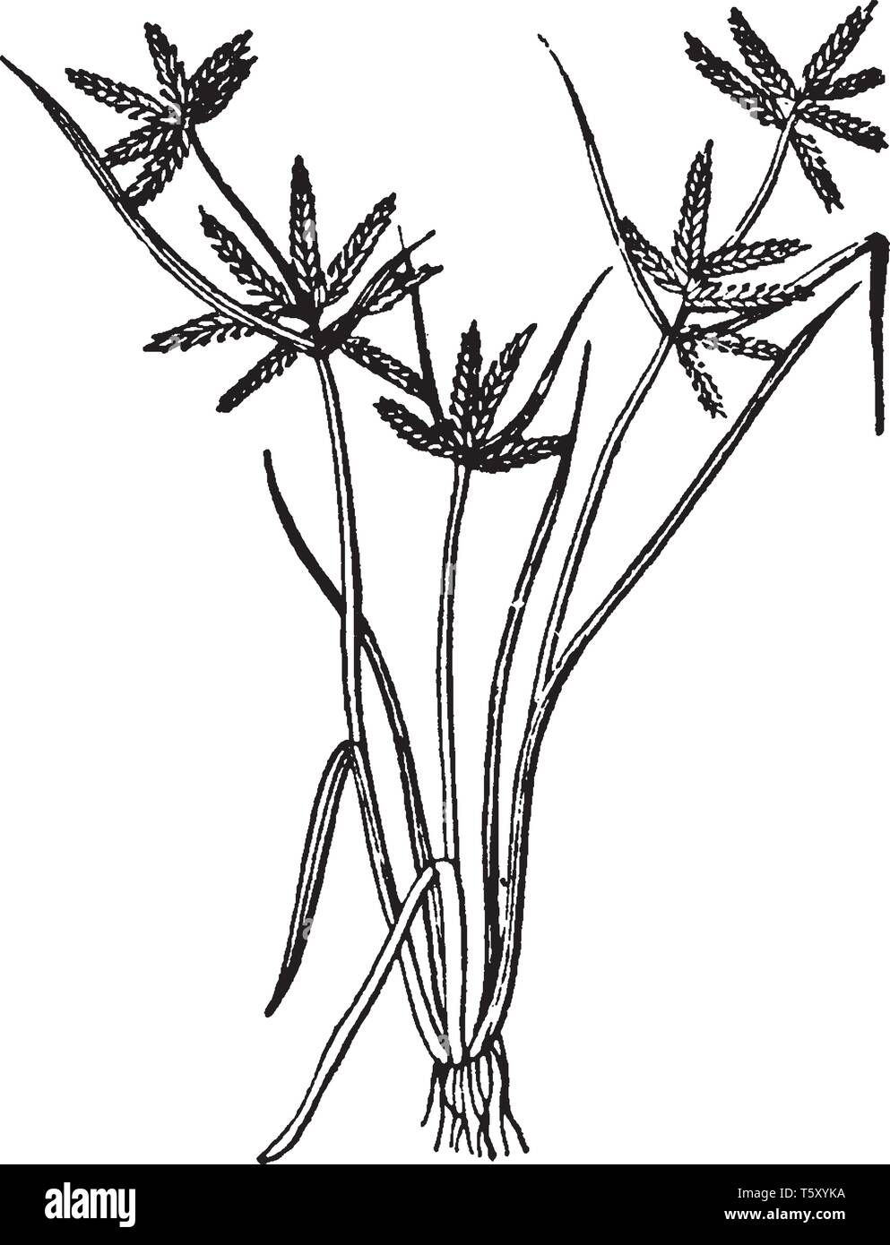 Triangular cross section Stock Vector Images - Alamy