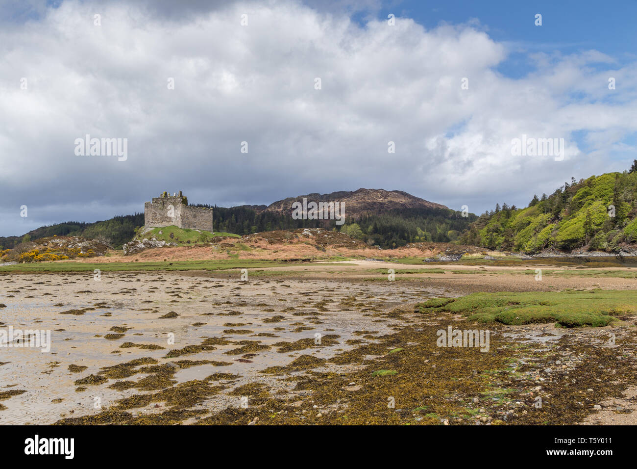 Loch moidart scotland hi-res stock photography and images - Alamy