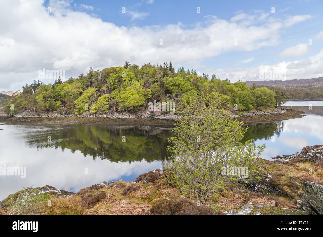 Tree-covered island with a beautiful reflection in Loch Moidart ...