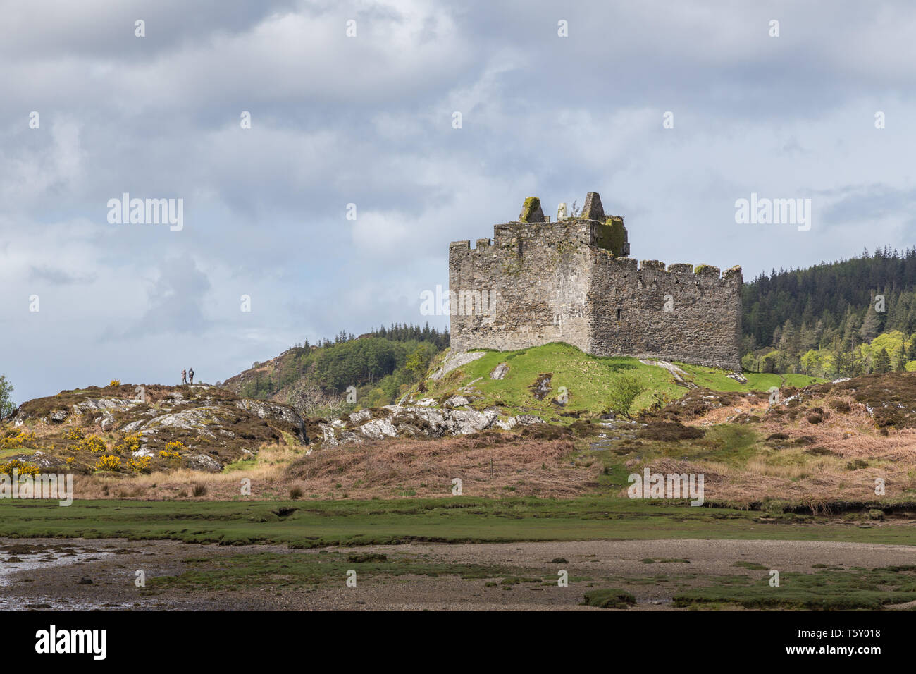 Castle Tioram (Caisteal Tioram) is a ruined castle that sits on the ...
