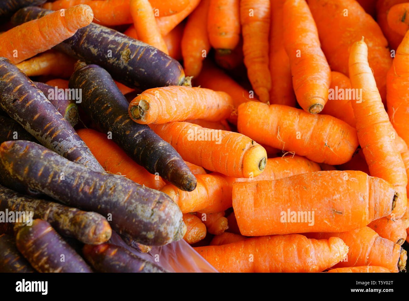 Fresh carrots for sale at a farmers market Stock Photo - Alamy