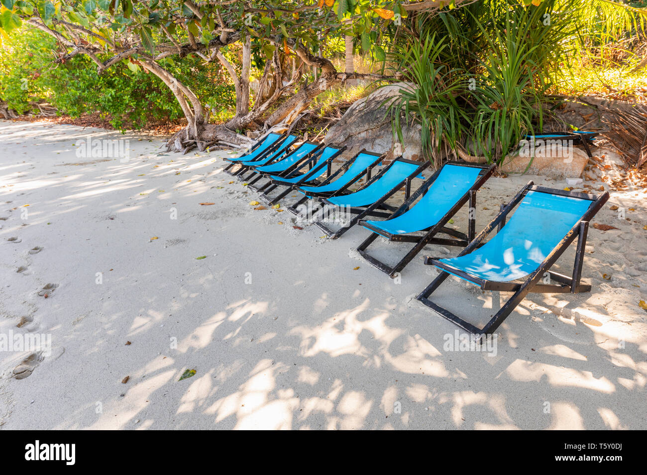 Row blue sunbed on the beach in tropical island Stock Photo - Alamy