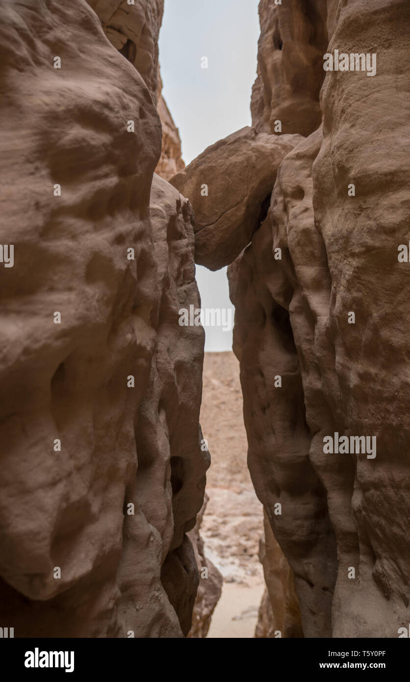 stone between the rocks in timna national park in israel Stock Photo ...