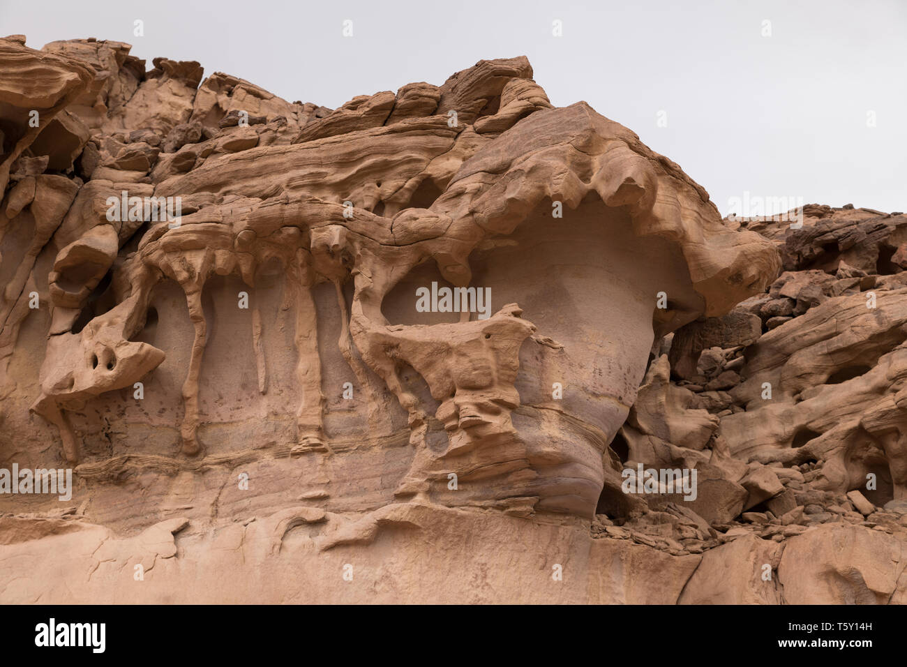erosion in the rocks of timna national park in israel Stock Photo - Alamy