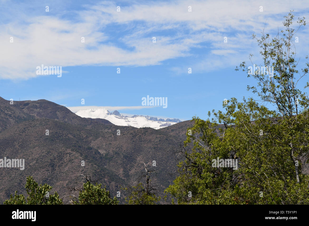 Mediterranean shrubland in El Arrayan natural reserve (Santiago de ...