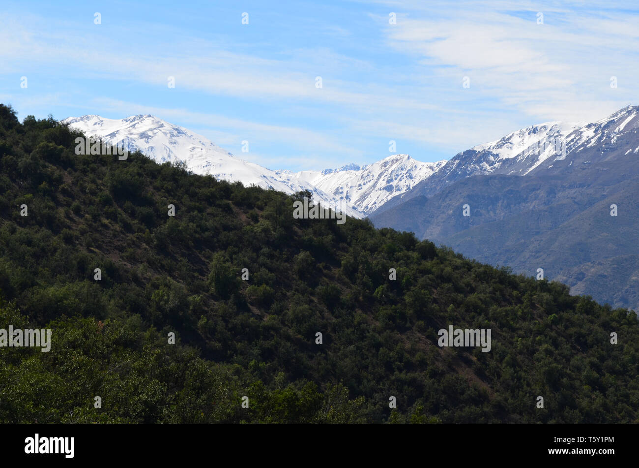 Mediterranean shrubland in El Arrayan natural reserve (Santiago de ...